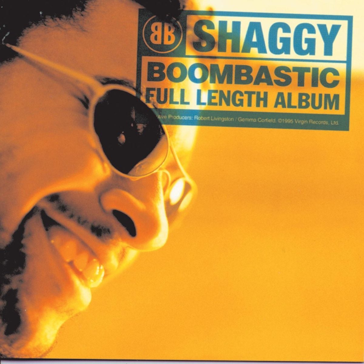 Shaggy’s Best Albums, Ranked By Sales And Streams In The US - DancehallMag