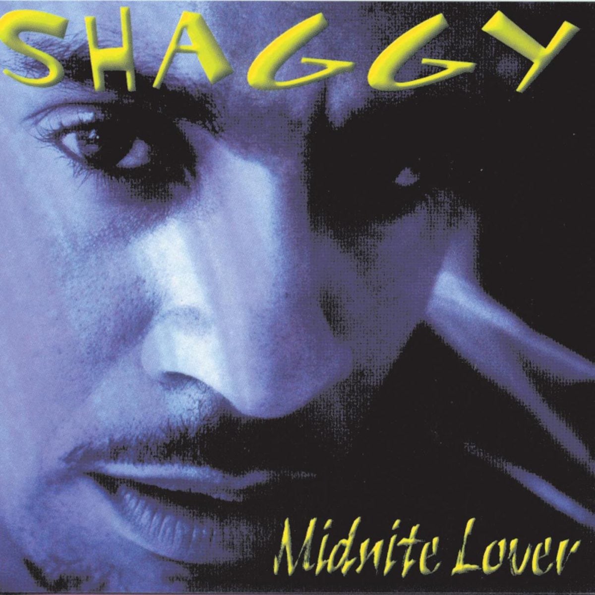 Shaggy’s Best Albums, Ranked By Sales And Streams In The US - DancehallMag