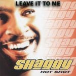 The 30 Best Shaggy Songs Of All Time, Ranked - DancehallMag